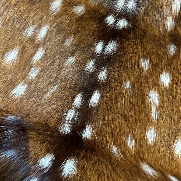 Bags | Axis Hide Leather Purse | Poshmark